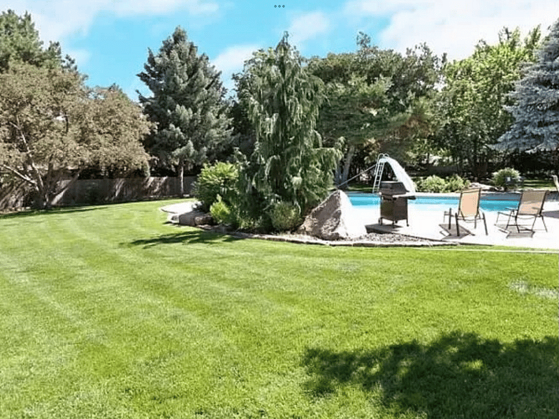 Spacious Fully Furnished 3 bedrooms house with Pool & Pet-Friendly Perks