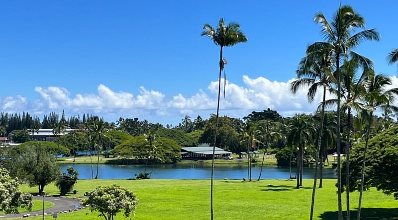 Hilo Lagoon Suite