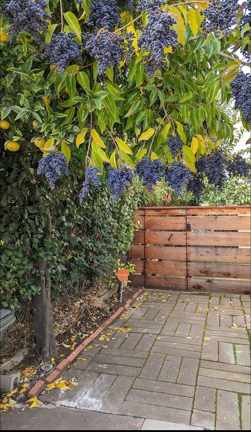 Peaceful, private 2 bedroom, pet friendly unit with yard