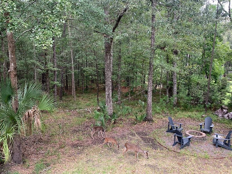 1 Bedroom Apartment with wooded view in peaceful neighborhood