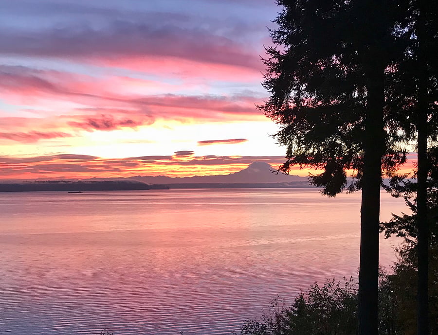 Beautiful home on the Puget Sound with an amazing view of Mt Rainier