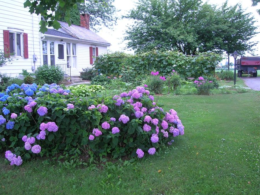 Comfortable Farmhouse near Penn State Health Lancaster Medical Center