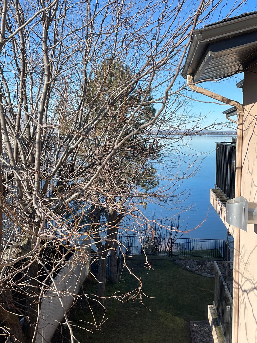 Cozy Condo on the Lake - No Upstairs Neighbors