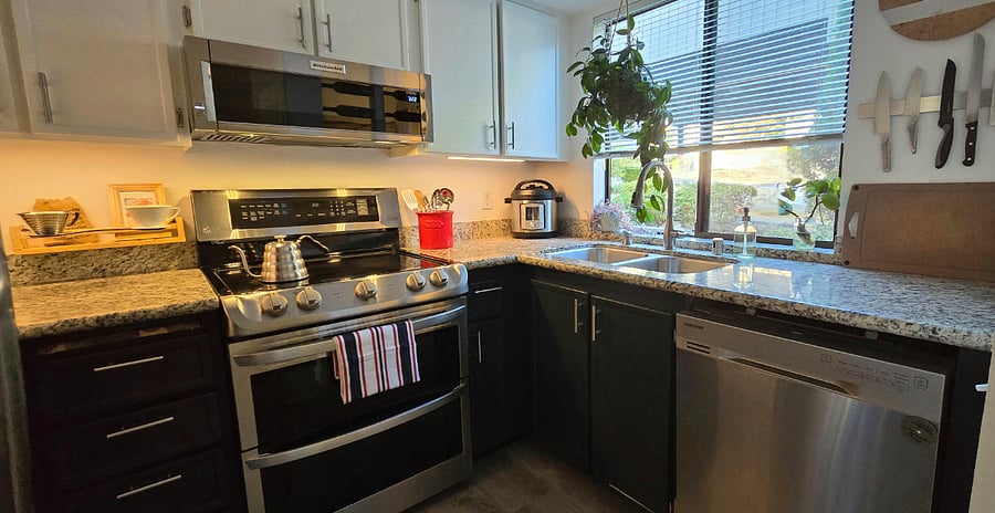 Cat-Friendly, Townhome-Style Bellevue Condo... Steps to Park & Ride ...